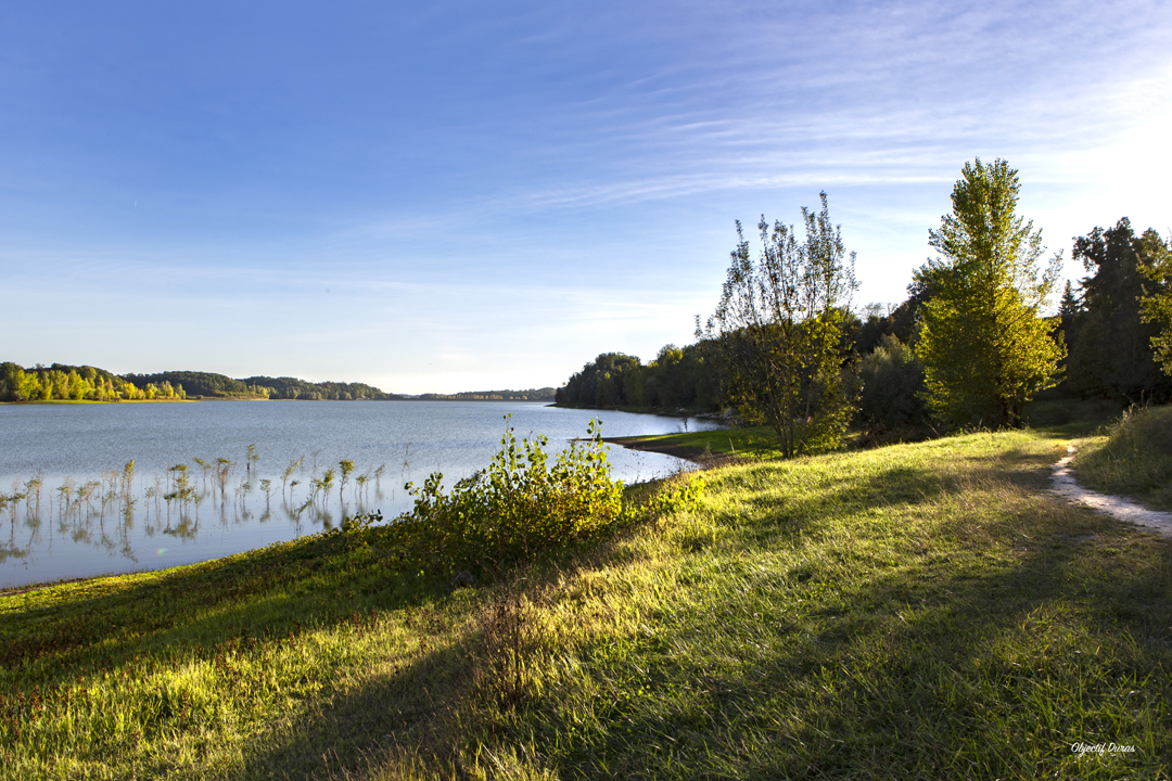 OMBRES ET LUMIÈRES SUR LES BORDS DU LAC DE L’ESCOUROUX 23/10/18 ...
