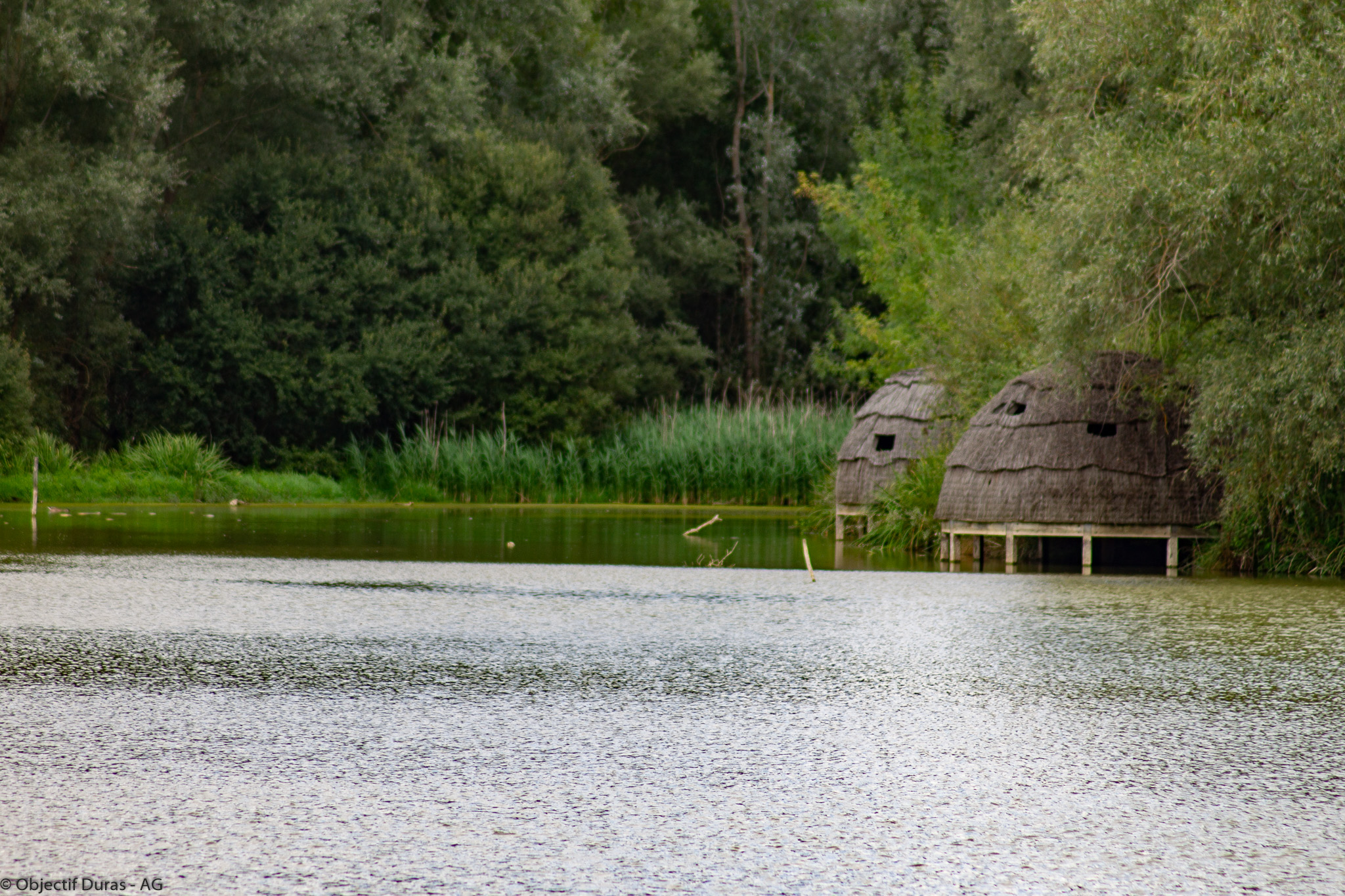 LAC DE L’ESCOUROU – 23/08/2020 – Objectif Duras